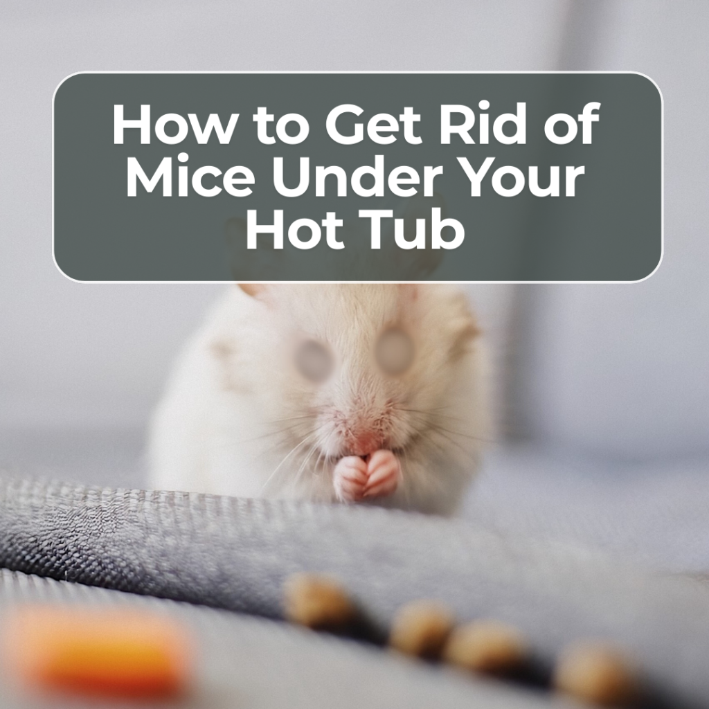 How To Get Rid Of Mice Under Your Hot Tub